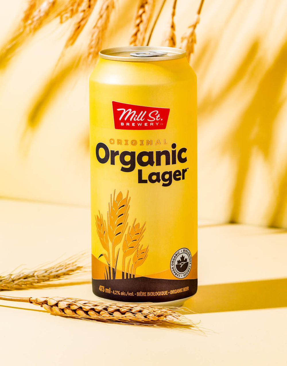 Mill Street Ottawa Free Home Delivery